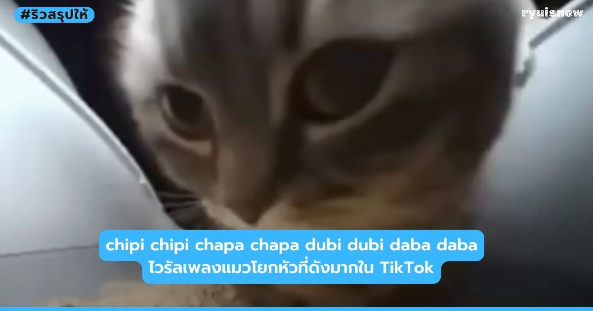 สรุปให้ chipi chipi chapa chapa เพลงไวรัลใน TikTok | ryuisnow